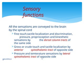 spinal-cord-functions & clinical significance.pptx