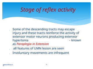 spinal-cord-functions & clinical significance.pptx