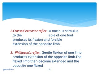 spinal-cord-functions & clinical significance.pptx