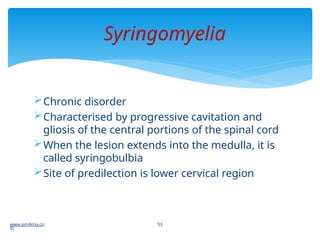 spinal-cord-functions & clinical significance.pptx