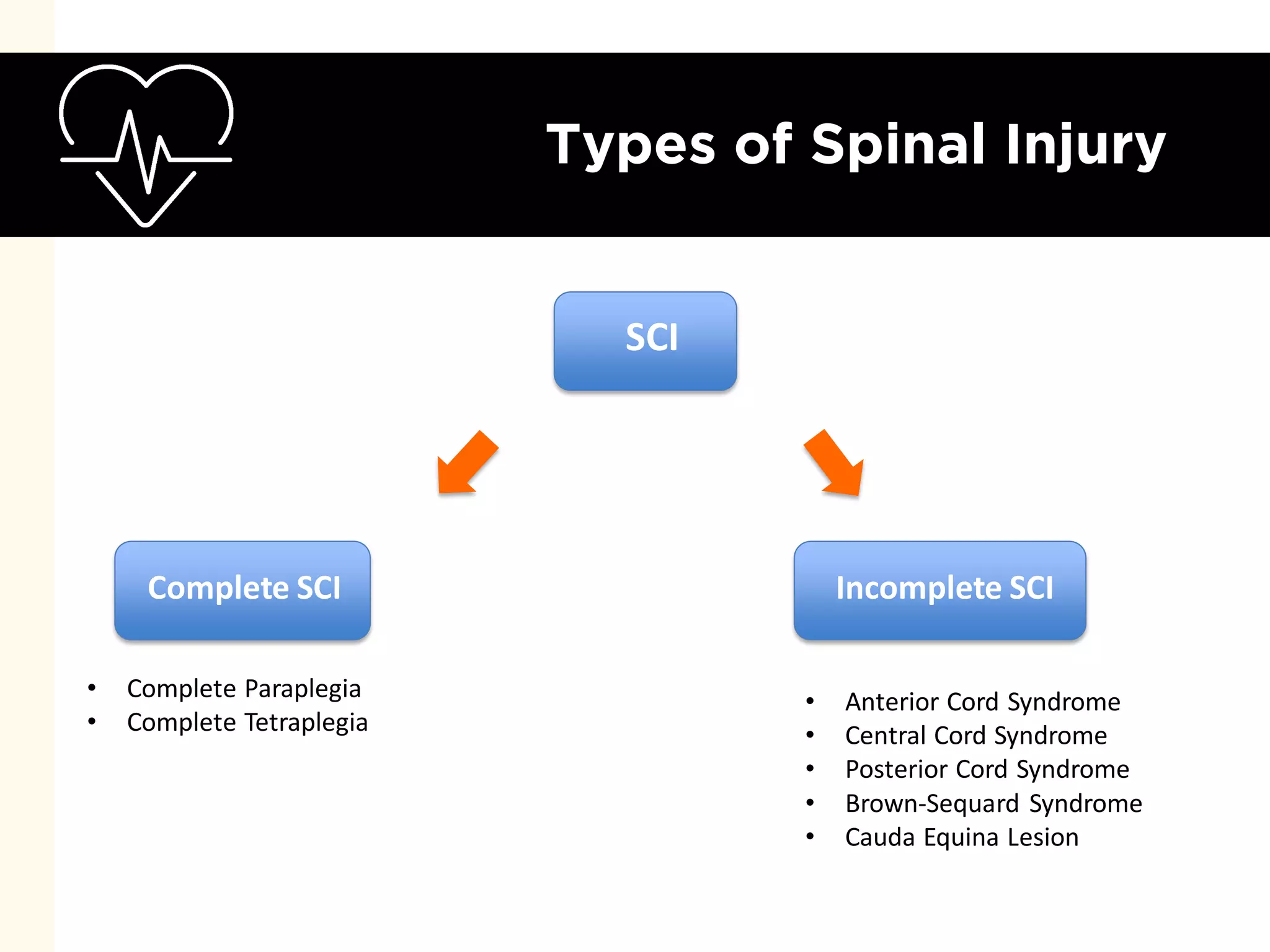 Spinal Cord Injury Data: (Complete Guide: Causes, Costs, Compensation ...