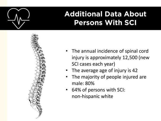 Spinal Cord Injury Data: (Complete Guide: Causes, Costs, Compensation ...