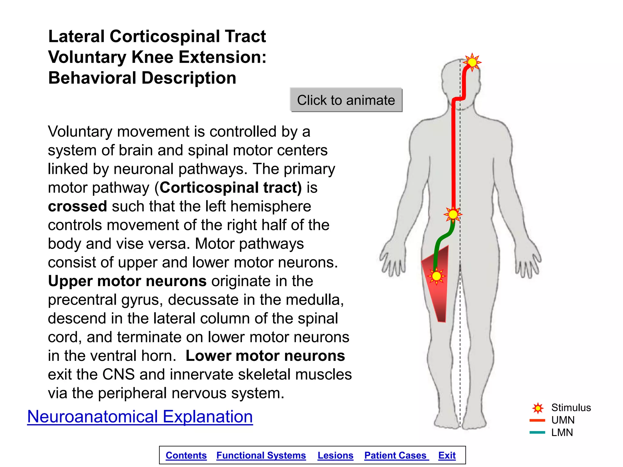 spinal-cord-injury-lesions.ppsx