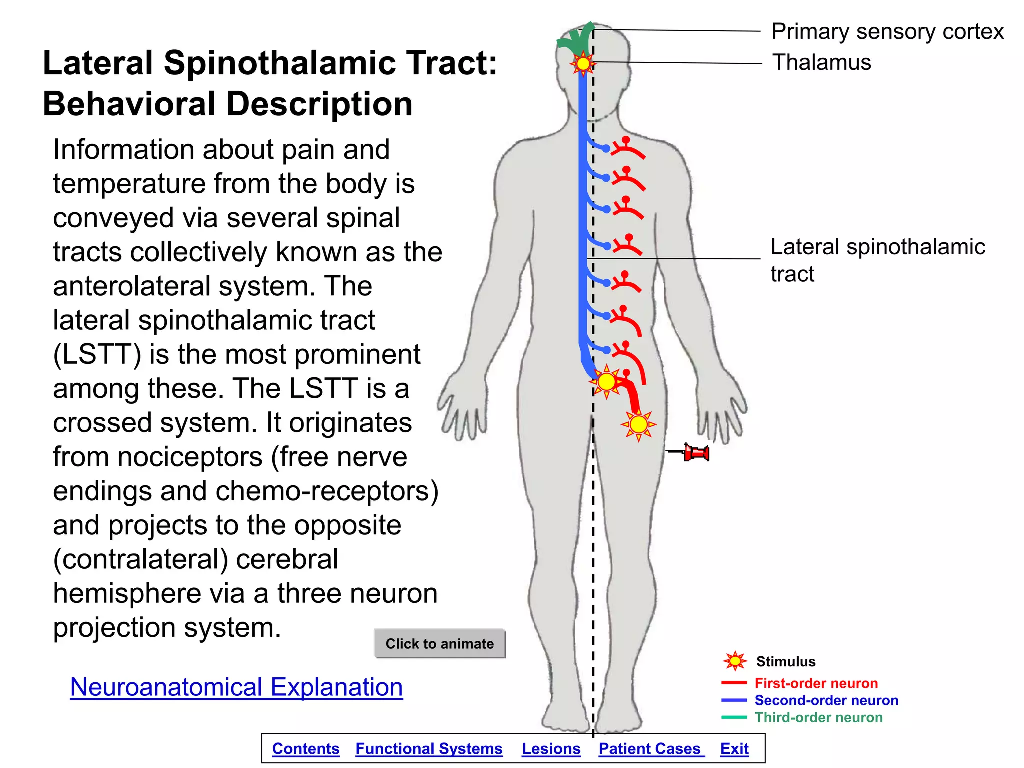 spinal-cord-injury-lesions.ppsx