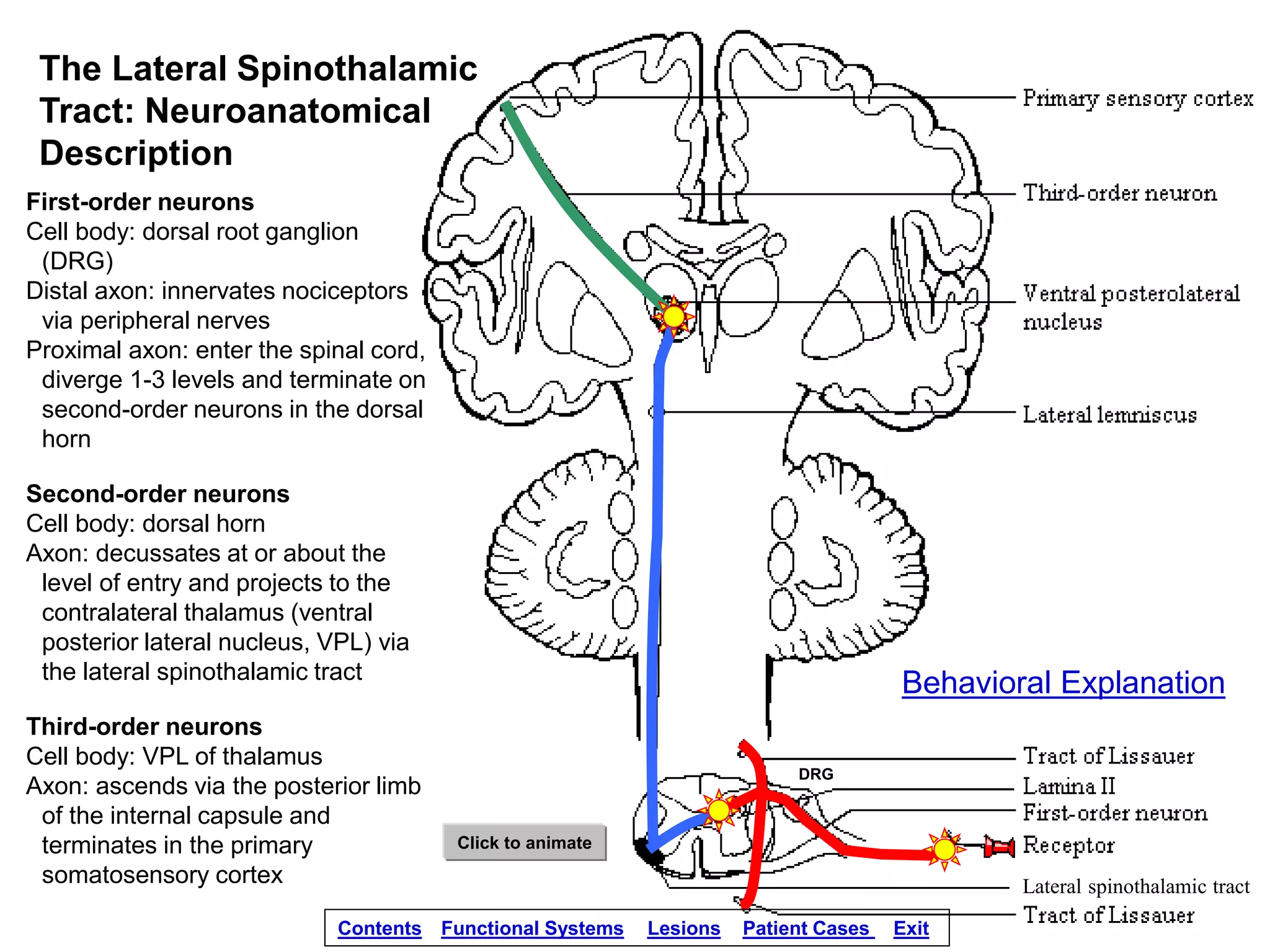 spinal-cord-injury-lesions.ppsx