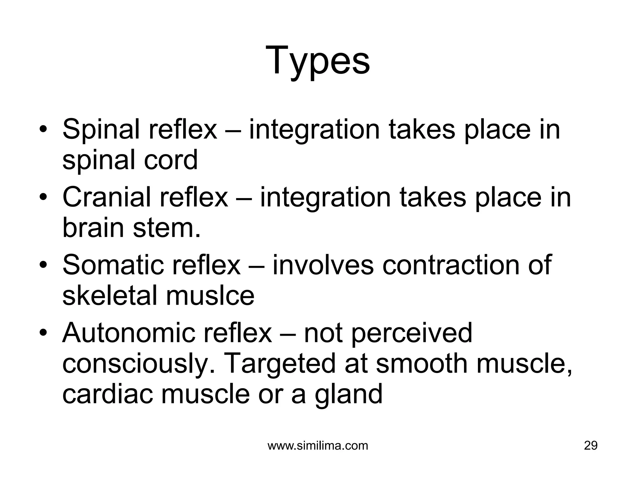 spinal cord and Spinal nerves indepth ppt | PDF