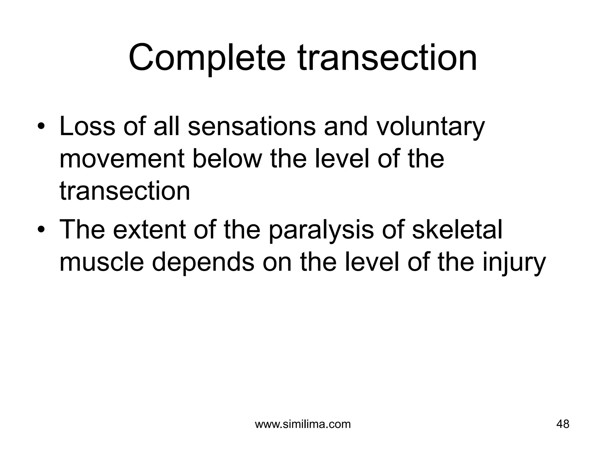 spinal cord and Spinal nerves indepth ppt | PDF