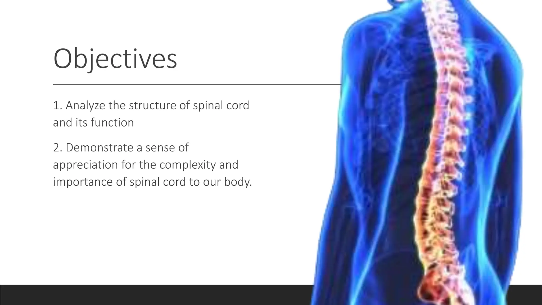 Group 4 Spinal-Cord-ppt.pptx BPED PED 119 | PPT