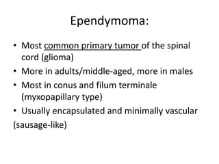 Spinal tumors | PPTX