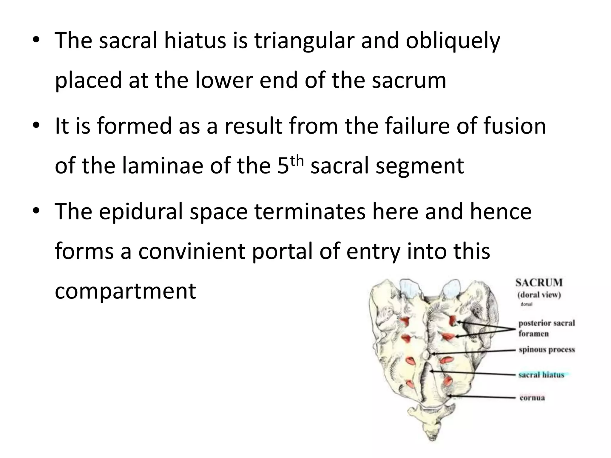 Spinal Anaesthesia - Anatomy & Physiology | PPTX