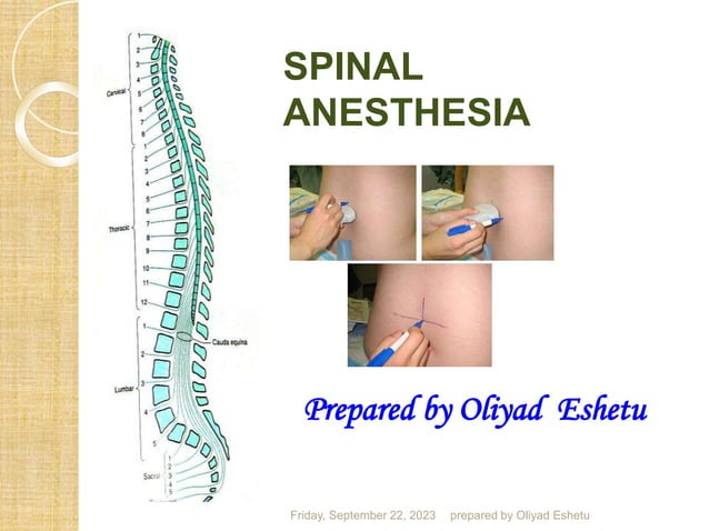 Spinal_Anaesthesia.ppt | Brain and Nervous System Disorders | Diseases ...