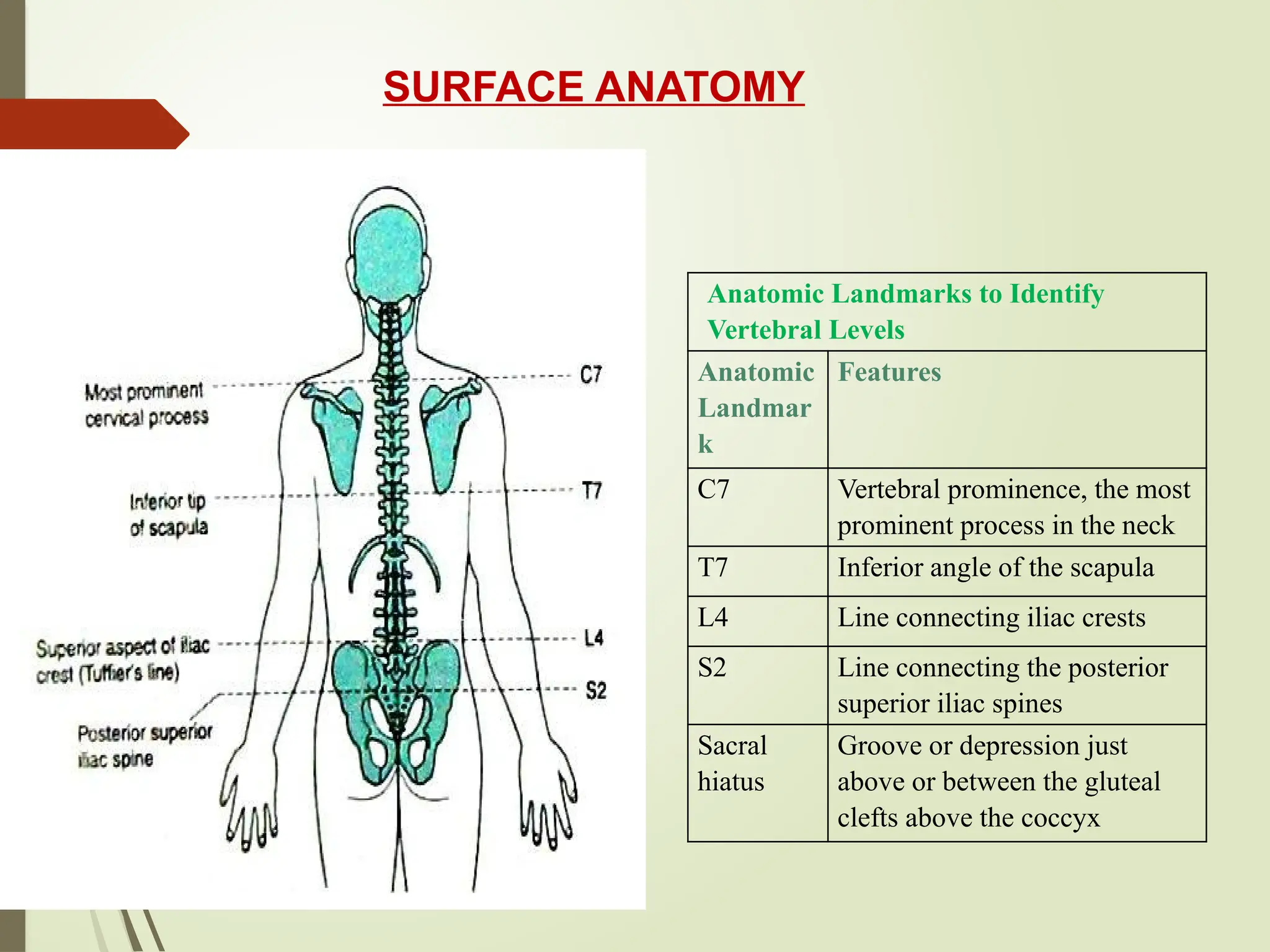 Spinal_Anaesthesia.in complified manner. | PPTX