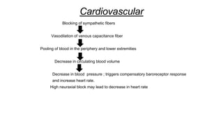Spinal anaesthesia(1).pptx