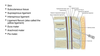 Spinal anaesthesia(1).pptx