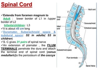 Spinal_Anaesthesia copy.pptx
