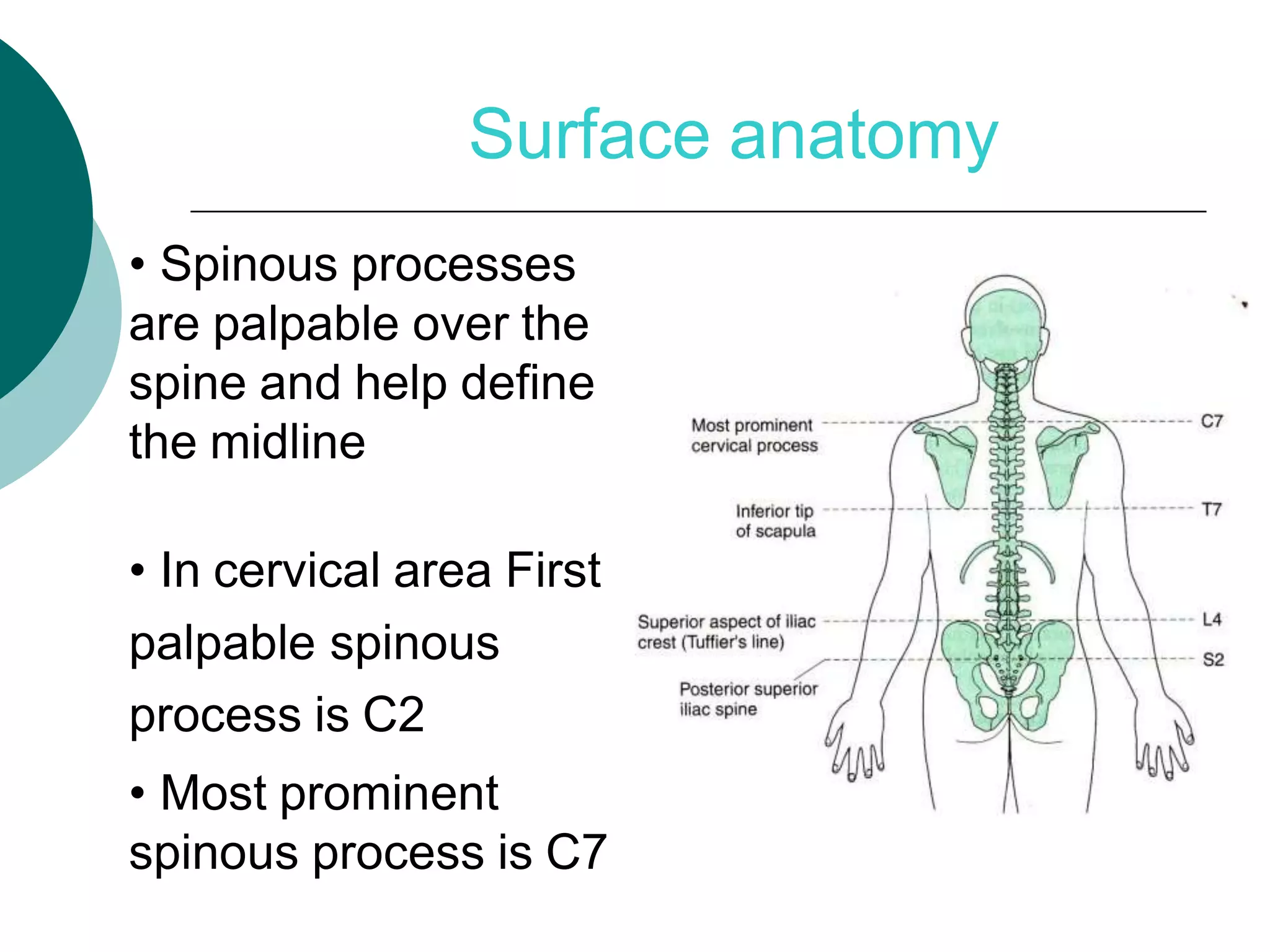 Spinal Anaesthesia. by Dr. Shailendra | PPT