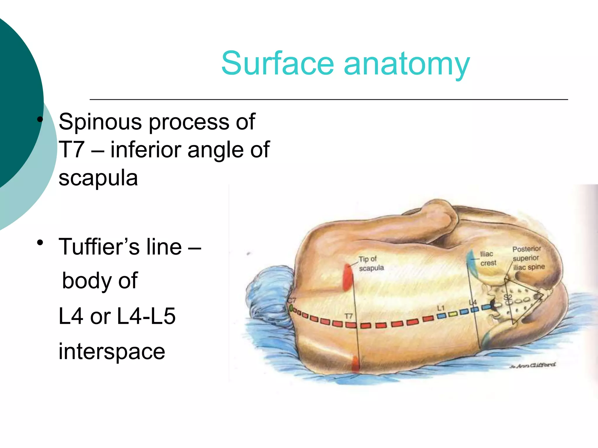Spinal Anaesthesia. by Dr. Shailendra | PPT