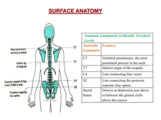 Spinal anaesthesia tushar.pptx | First Aid | Injuries