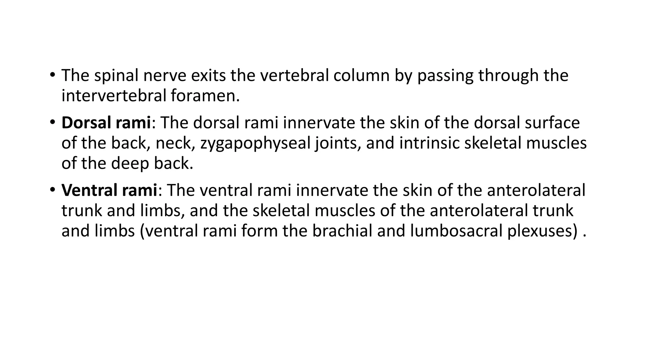 Spinal anatomy and anesthesia. | PDF