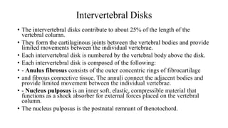 Spinal anatomy and anesthesia. | PDF