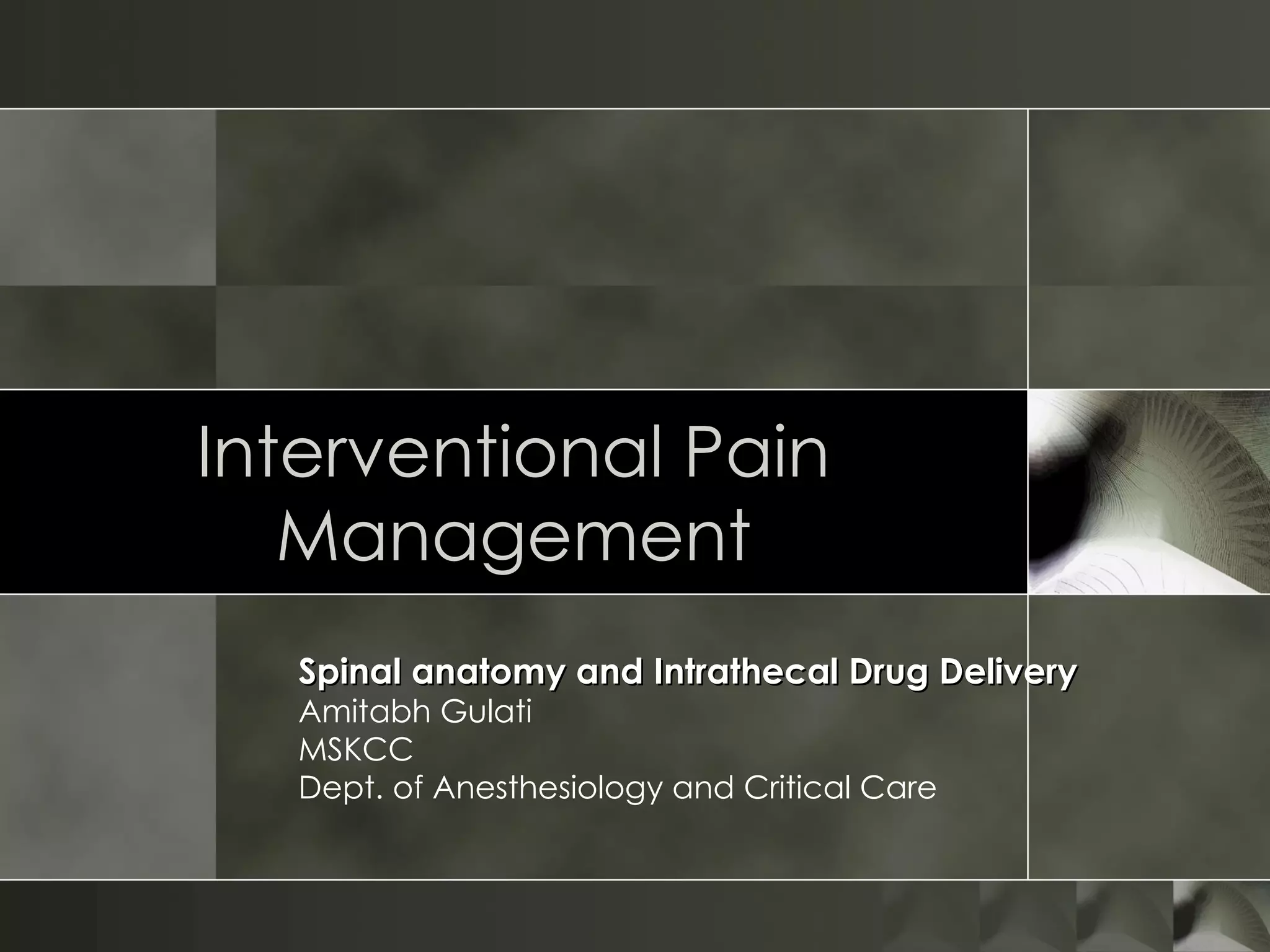 Spinal anatomy and_intrathecal_drugs | PPT