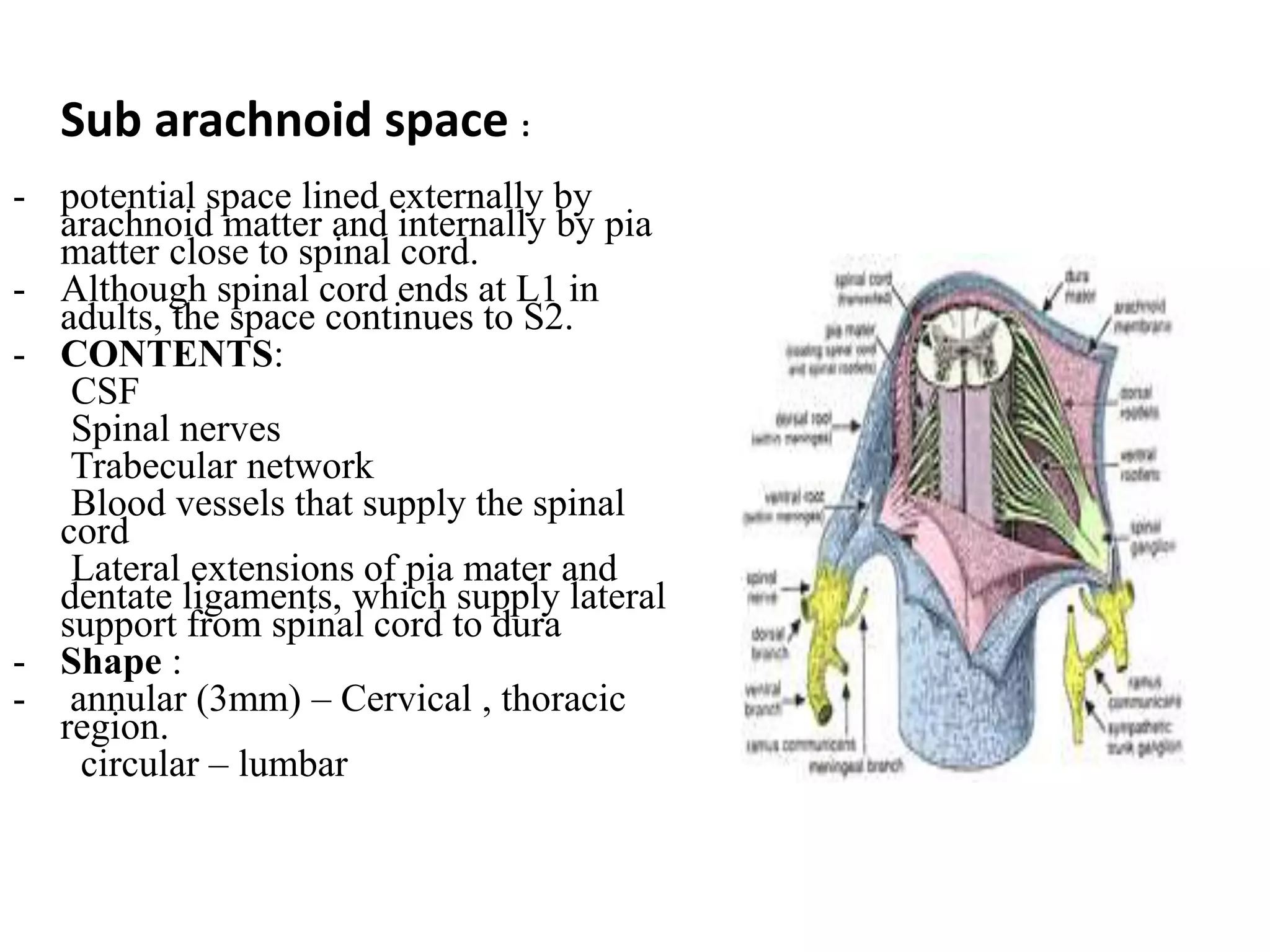 Spinal and Epidural Anaesthesia.pptx