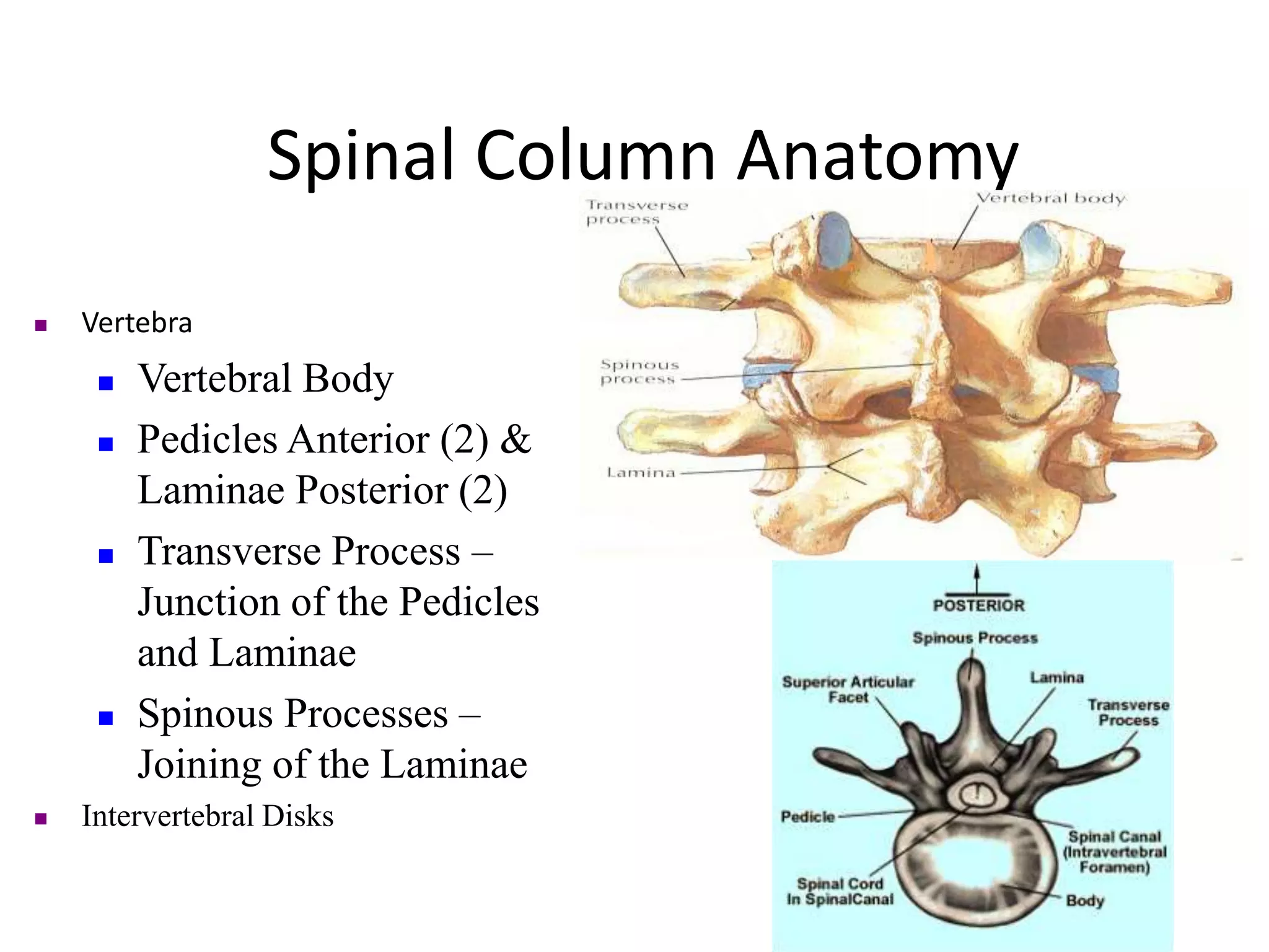 Spinal and Epidural Anaesthesia.pptx