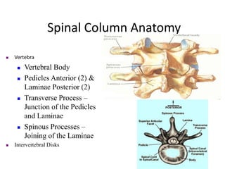 Spinal and Epidural Anaesthesia.pptx