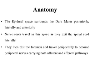 Spinal and Epidural Anaesthesia.pptx