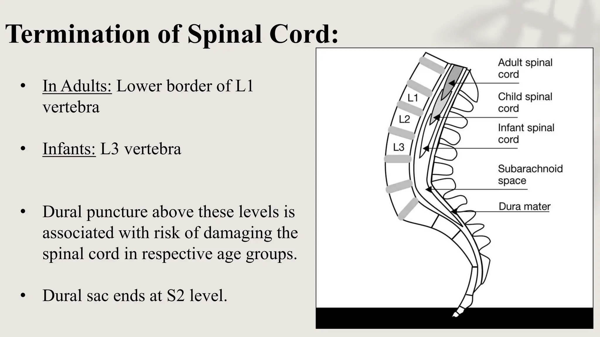 Spinal and Epidural Anaesthesia 5 1.pptx