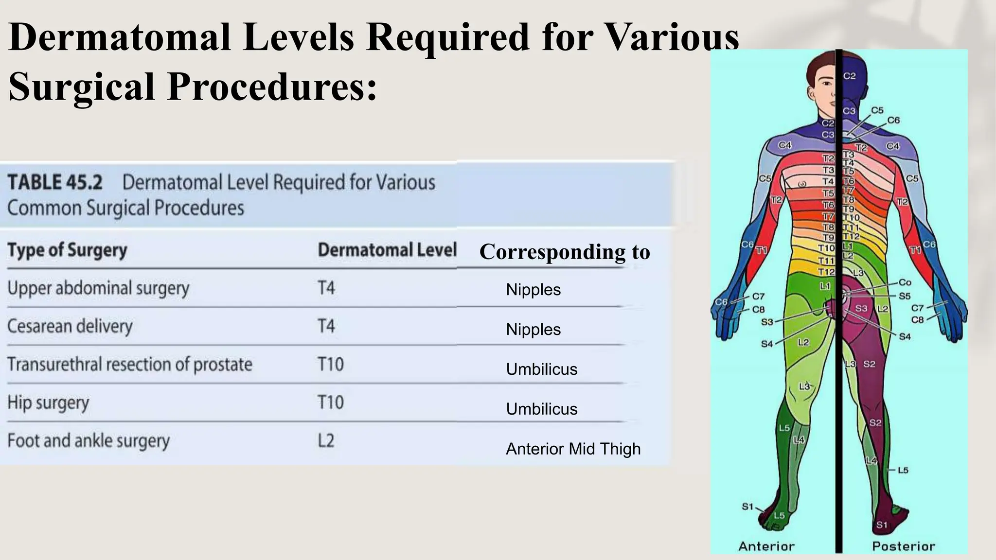 Spinal and Epidural Anaesthesia 5 1.pptx