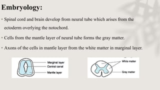 Spinal and Epidural Anaesthesia 5 1.pptx