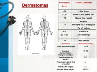 SPINAL AND EPIDURAL ANESTHEISA by Dr.Sravani Vishnubhatla | PPTX
