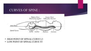Spinal anesthesia complete theory and practical points .pptx