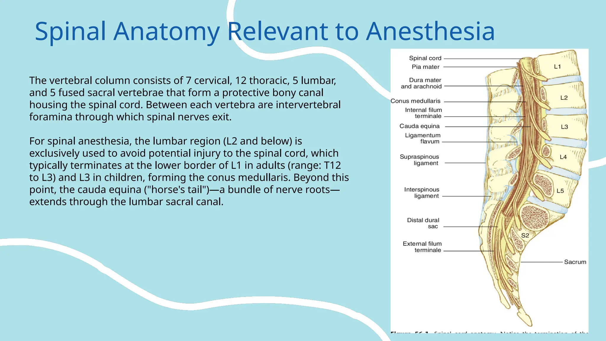 Spinal Anesthesia used in operations.pptx