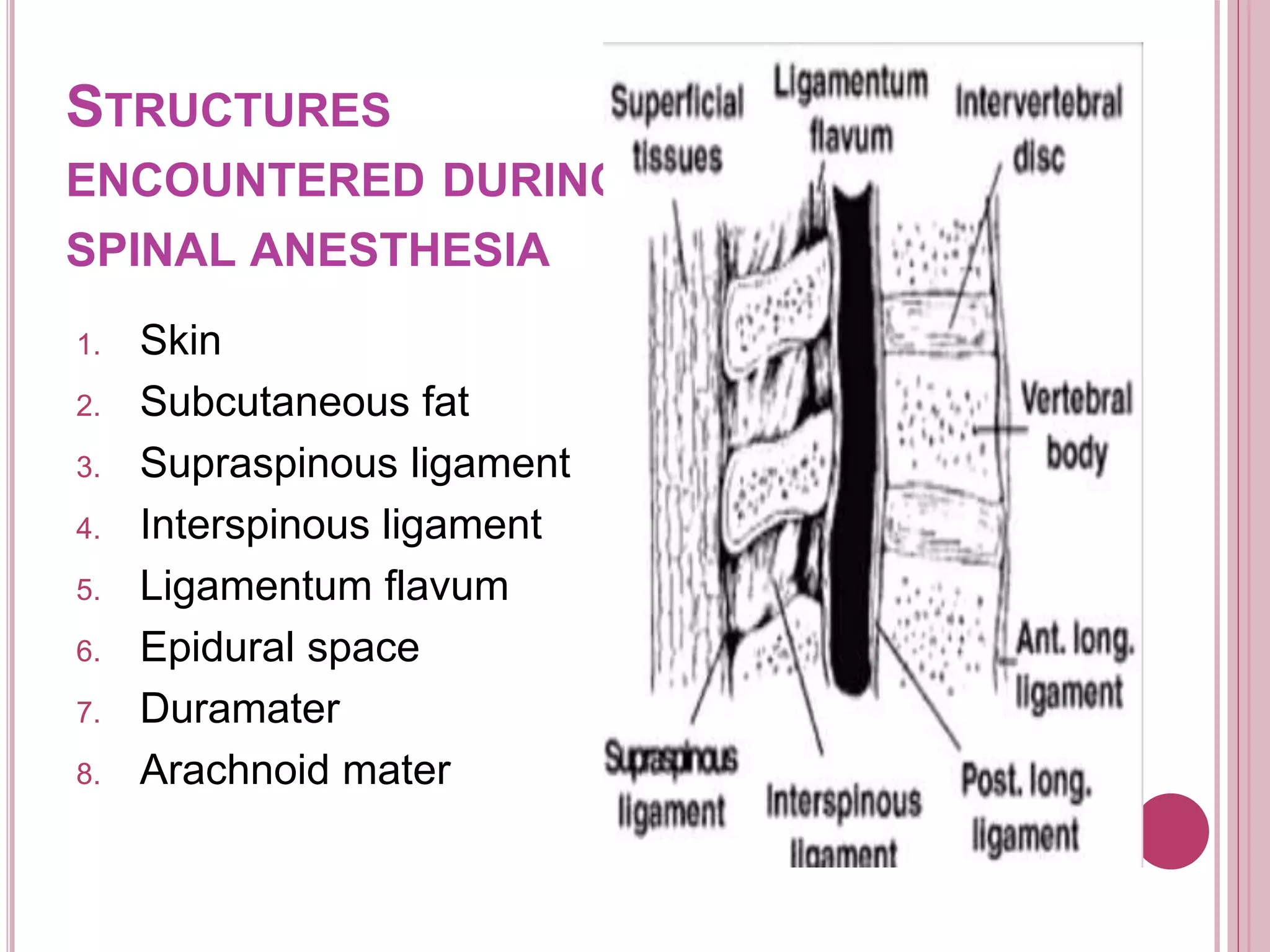 Spinal anesthesia slides | PPTX