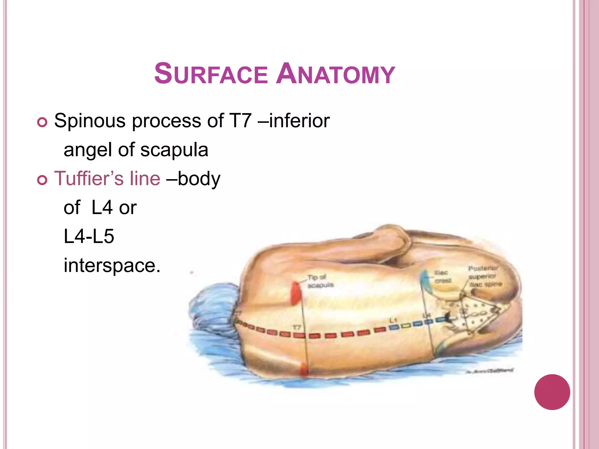 Spinal anesthesia slides | PPTX