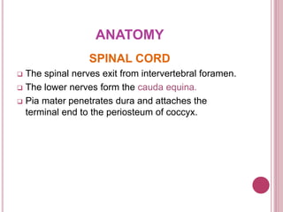 Spinal anesthesia slides | PPTX