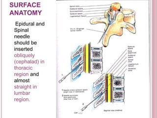 Spinal anesthesia slides | PPTX