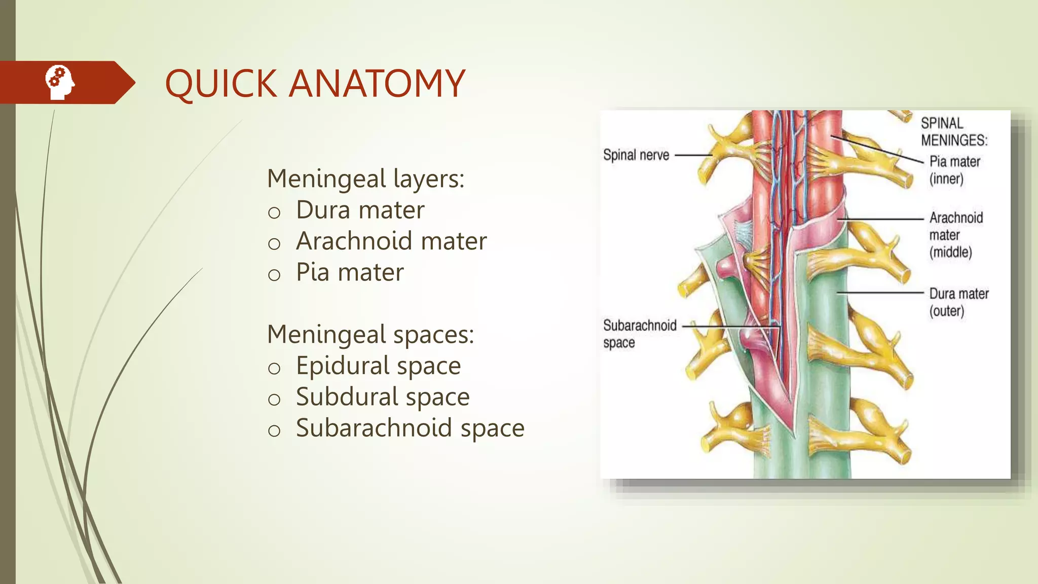 Spinal Arachnoiditis ppt.pptx