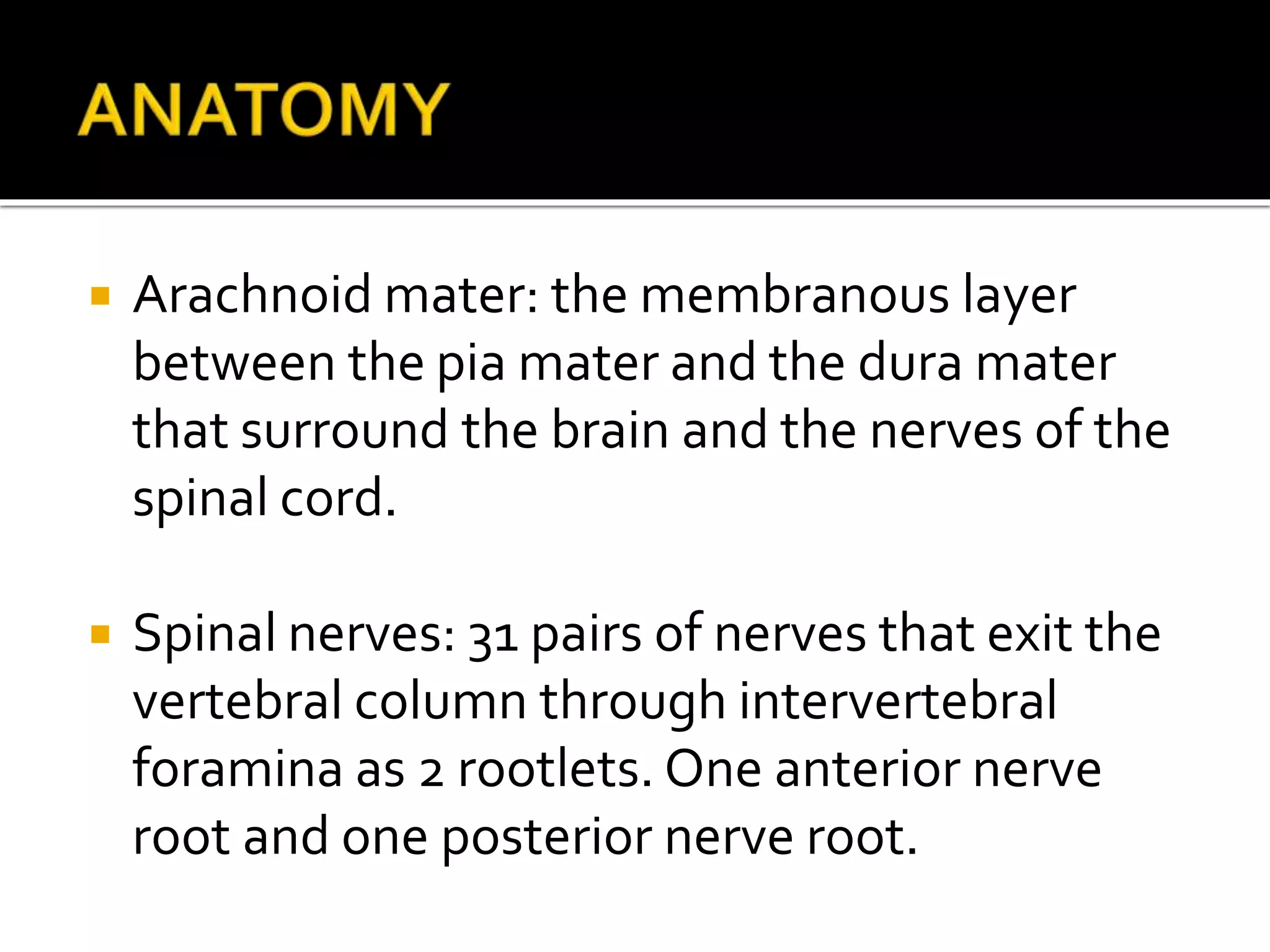 Spinal arachnoiditis | PPTX