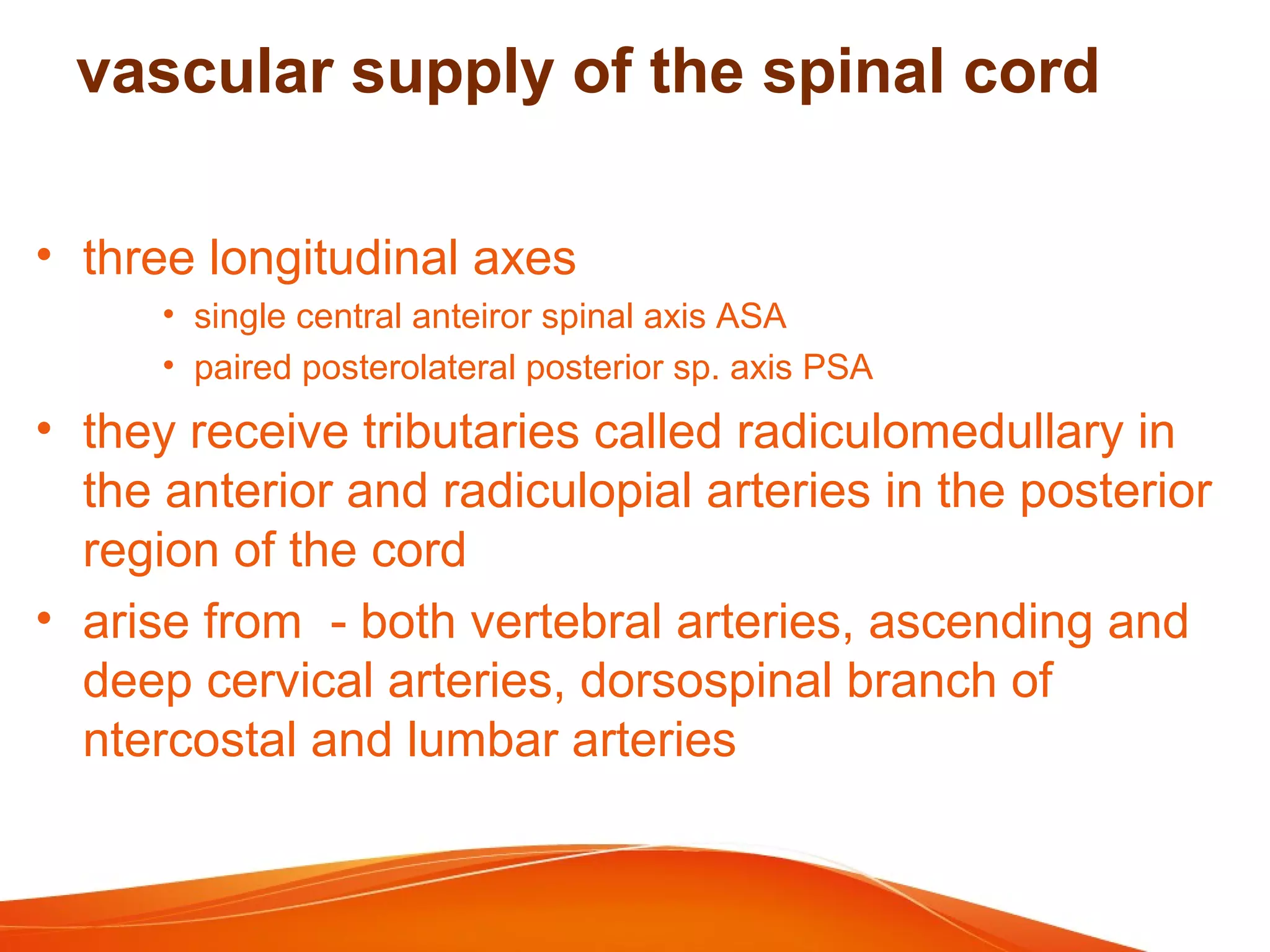 Spinal arteriovenous malformations | PPT