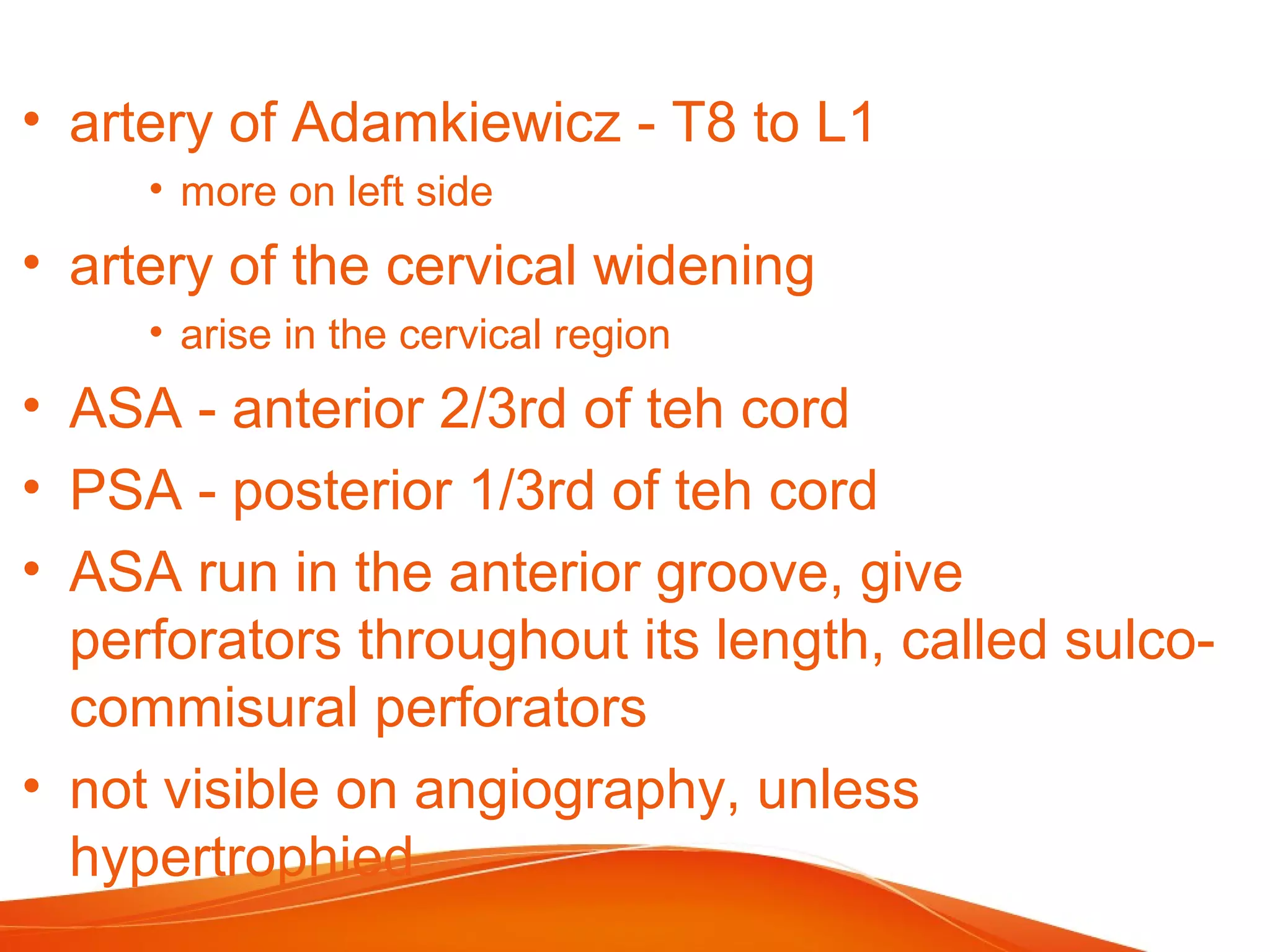 Spinal arteriovenous malformations | PPT
