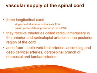 Spinal arteriovenous malformations | PPT