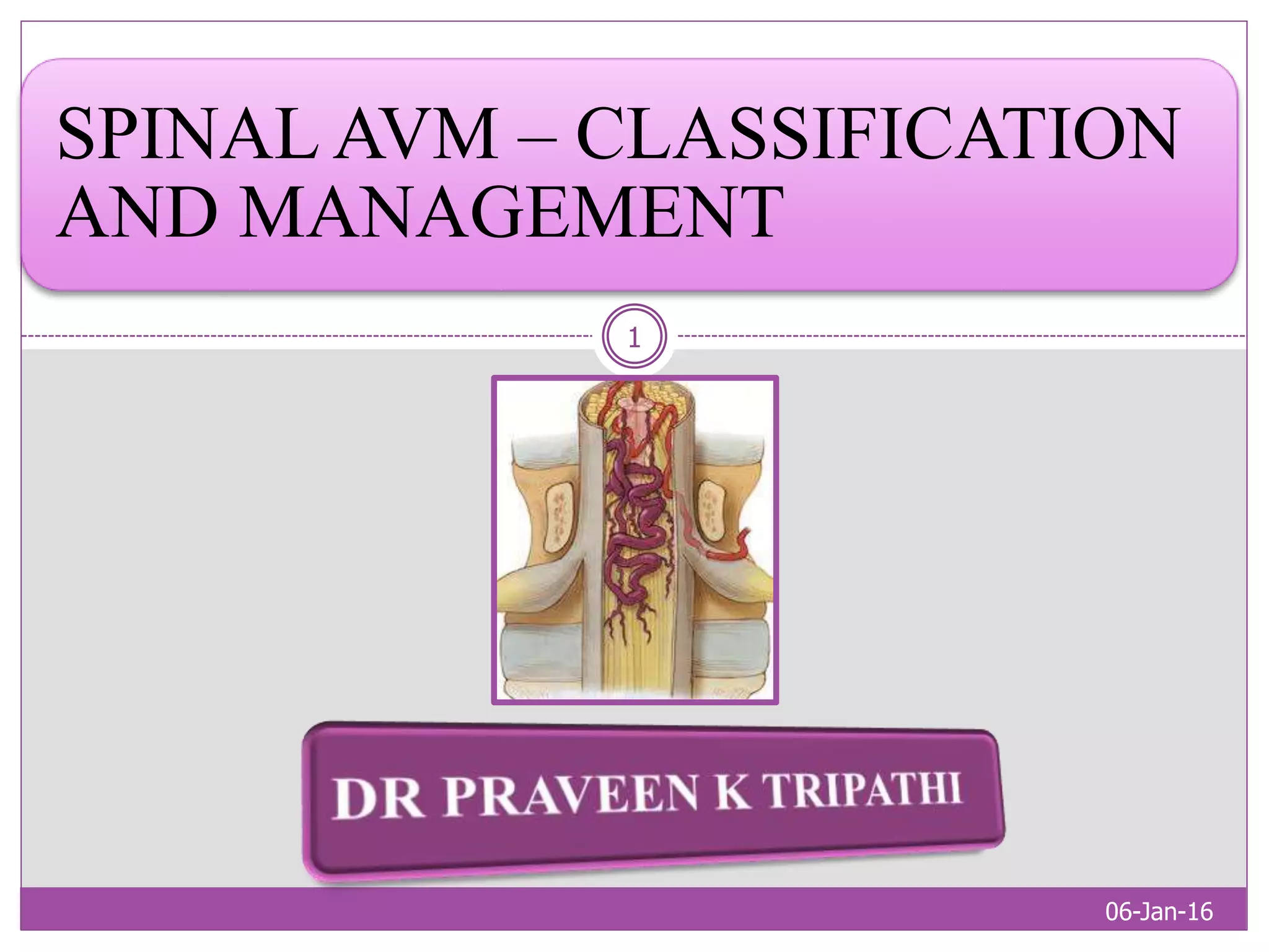 SPINAL CORD ARTERIOVENOUS MALFORMATIONS | PPT