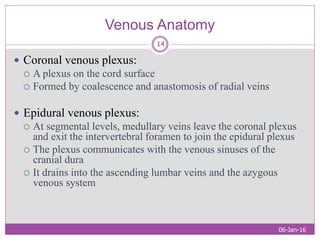 SPINAL CORD ARTERIOVENOUS MALFORMATIONS | PPTX