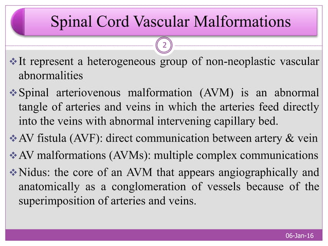 SPINAL CORD ARTERIOVENOUS MALFORMATIONS | PPTX