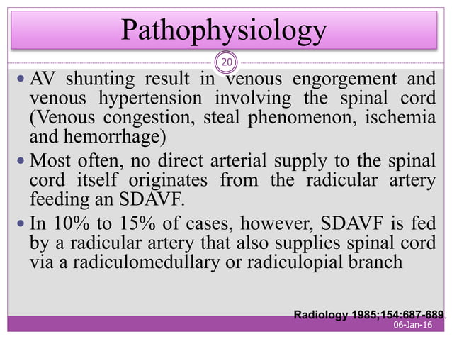 SPINAL CORD ARTERIOVENOUS MALFORMATIONS | PPTX