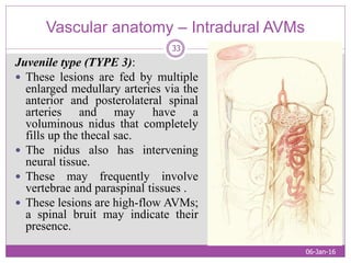 SPINAL CORD ARTERIOVENOUS MALFORMATIONS | PPTX