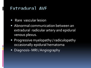 Spinal AVM AIIMS.pptx
